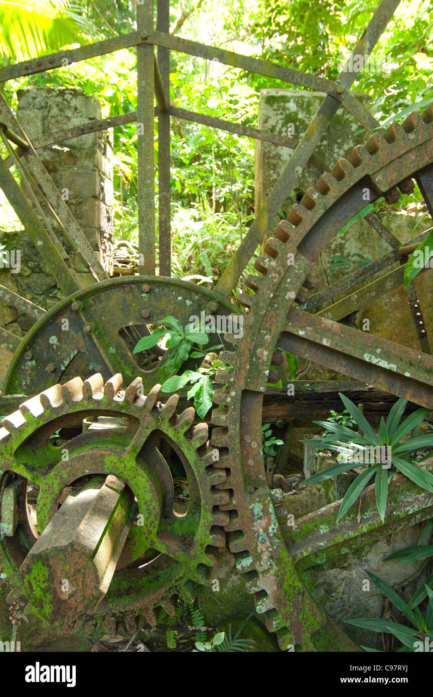 Caribbean st lucia balenbouche hi-res stock photography and images - Alamy