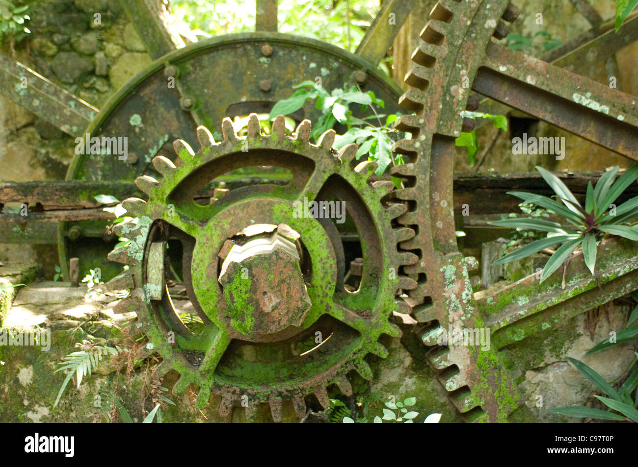 Balenbouche Estate, St. Lucia. Sugar mill ruins Stock Photo - Alamy