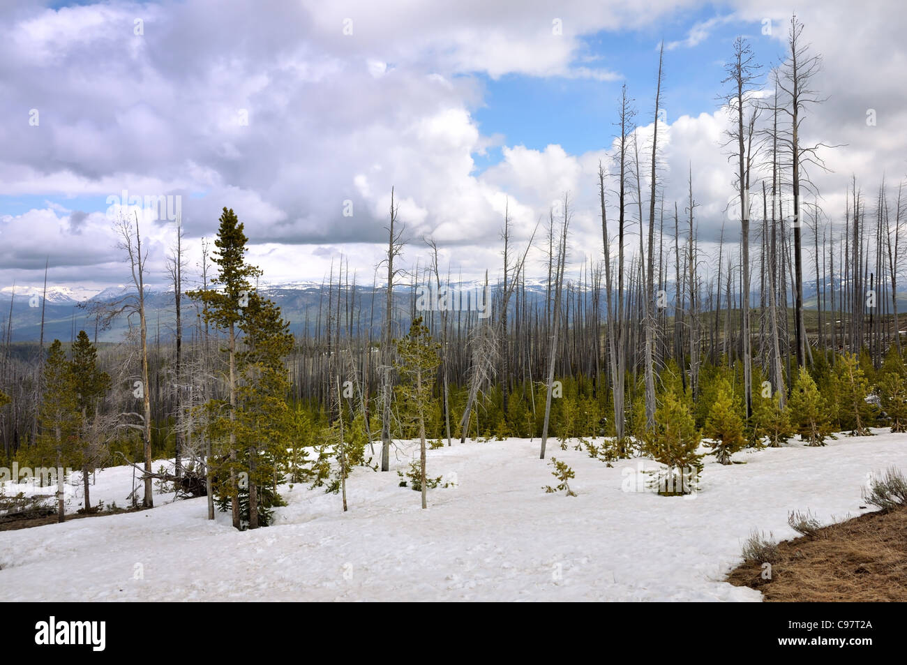 high mountains landscape with snow in summer time Stock Photo - Alamy