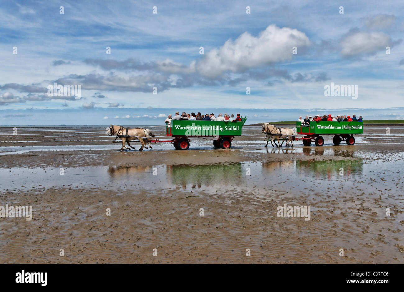 Journey over the mudflats towards Hallig Suedfall, Fuhlehoern on North ...