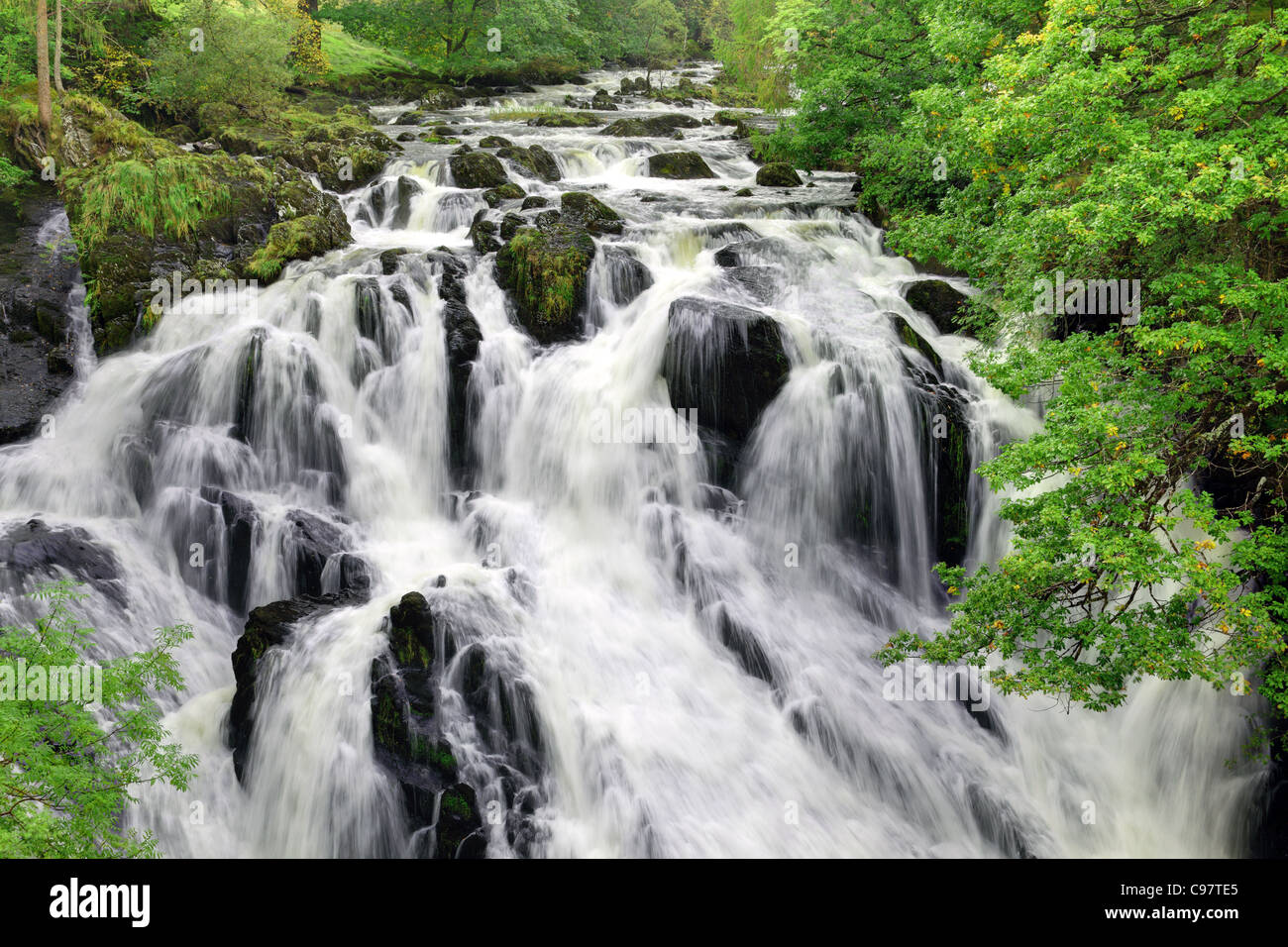 Tranquil stream cascading water hi-res stock photography and images - Alamy