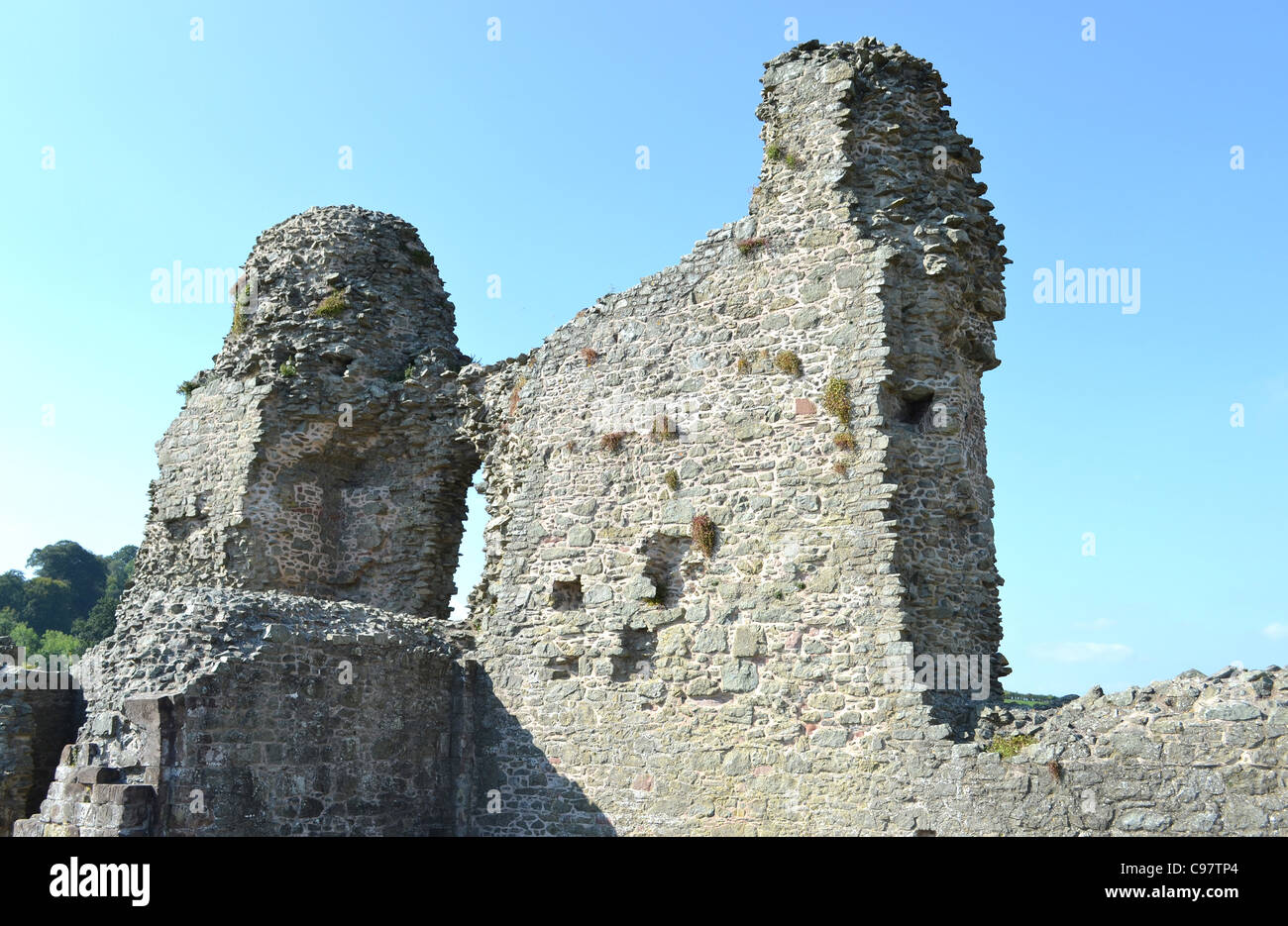 Montgomery castle hi-res stock photography and images - Alamy