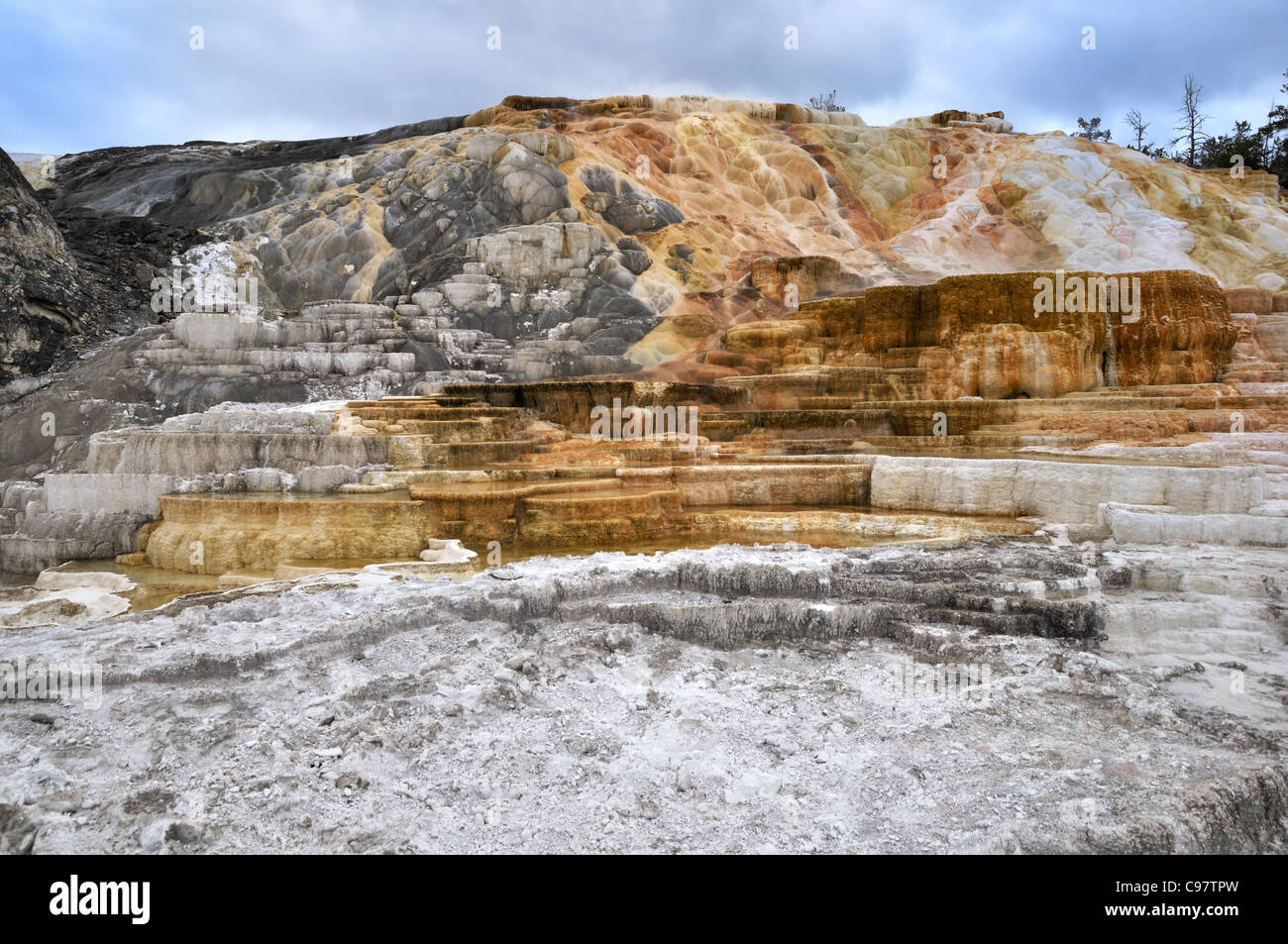 Calcite terrace at Mammoth Hot Springs in Yellowstone National Park ...
