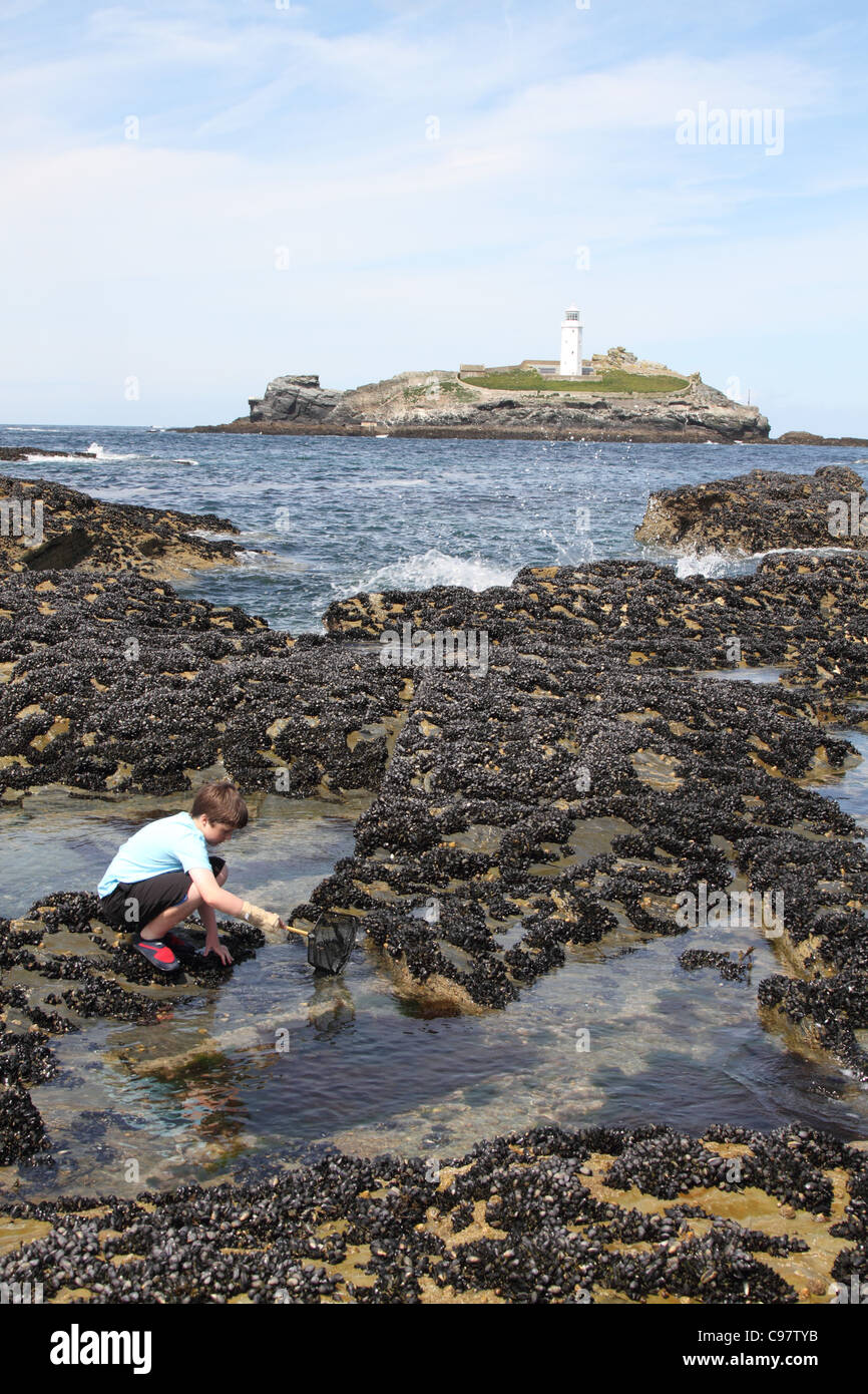 Rock Pool Net Uk High Resolution Stock Photography and Images - Alamy