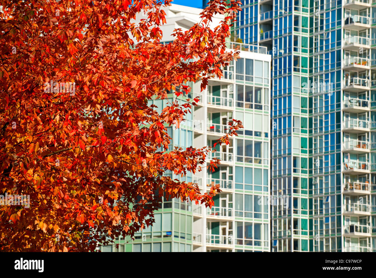 Vancouver buildings with fall colors Stock Photo - Alamy