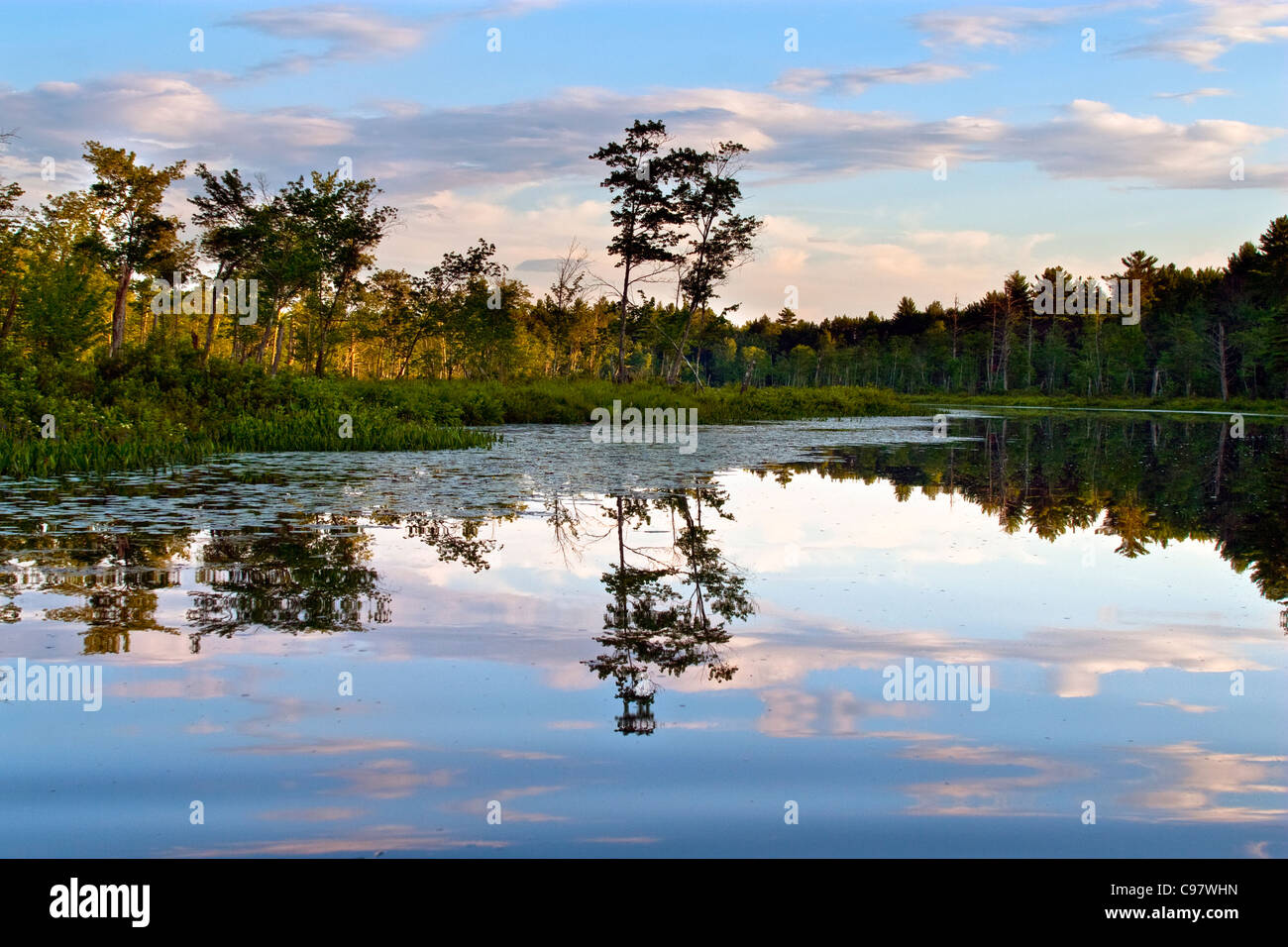 Tully River Late Afternoon Stock Photo - Alamy