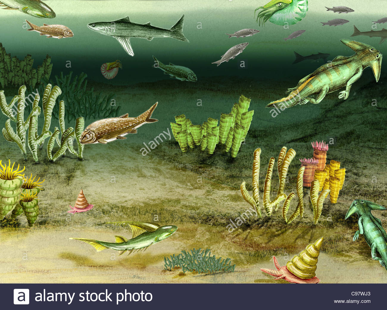 Cretaceous Tertiary Boundary Stock Photos & Cretaceous Tertiary ...