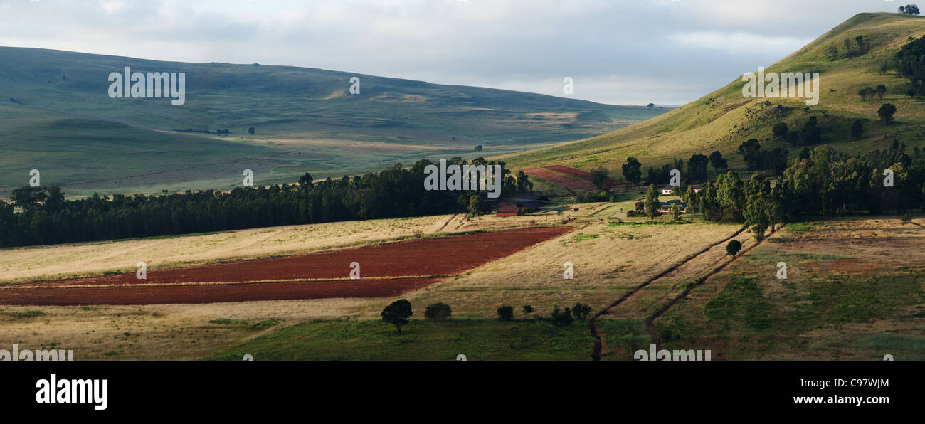 Scenic highveld landscape with cultivated fields Stock Photo - Alamy