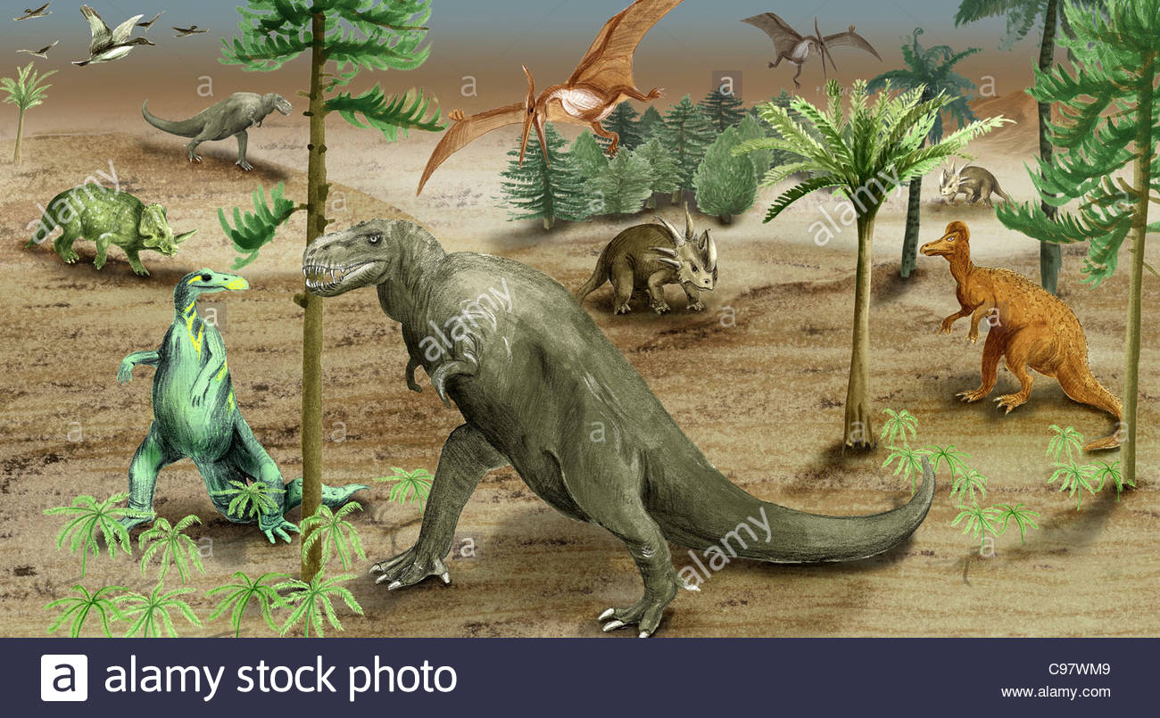 Pterosaur Fossil Stock Photos & Pterosaur Fossil Stock Images - Alamy
