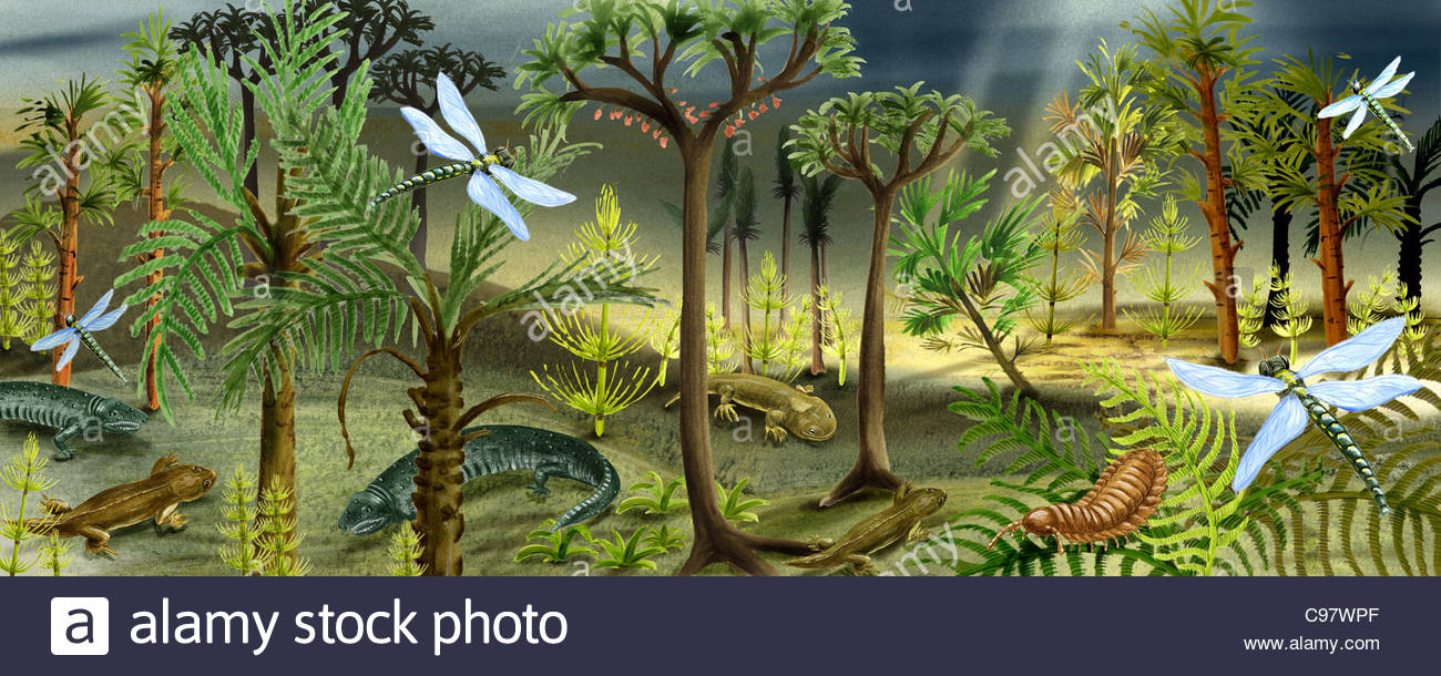 Mesozoic Plant Fossil Stock Photos & Mesozoic Plant Fossil Stock Images ...