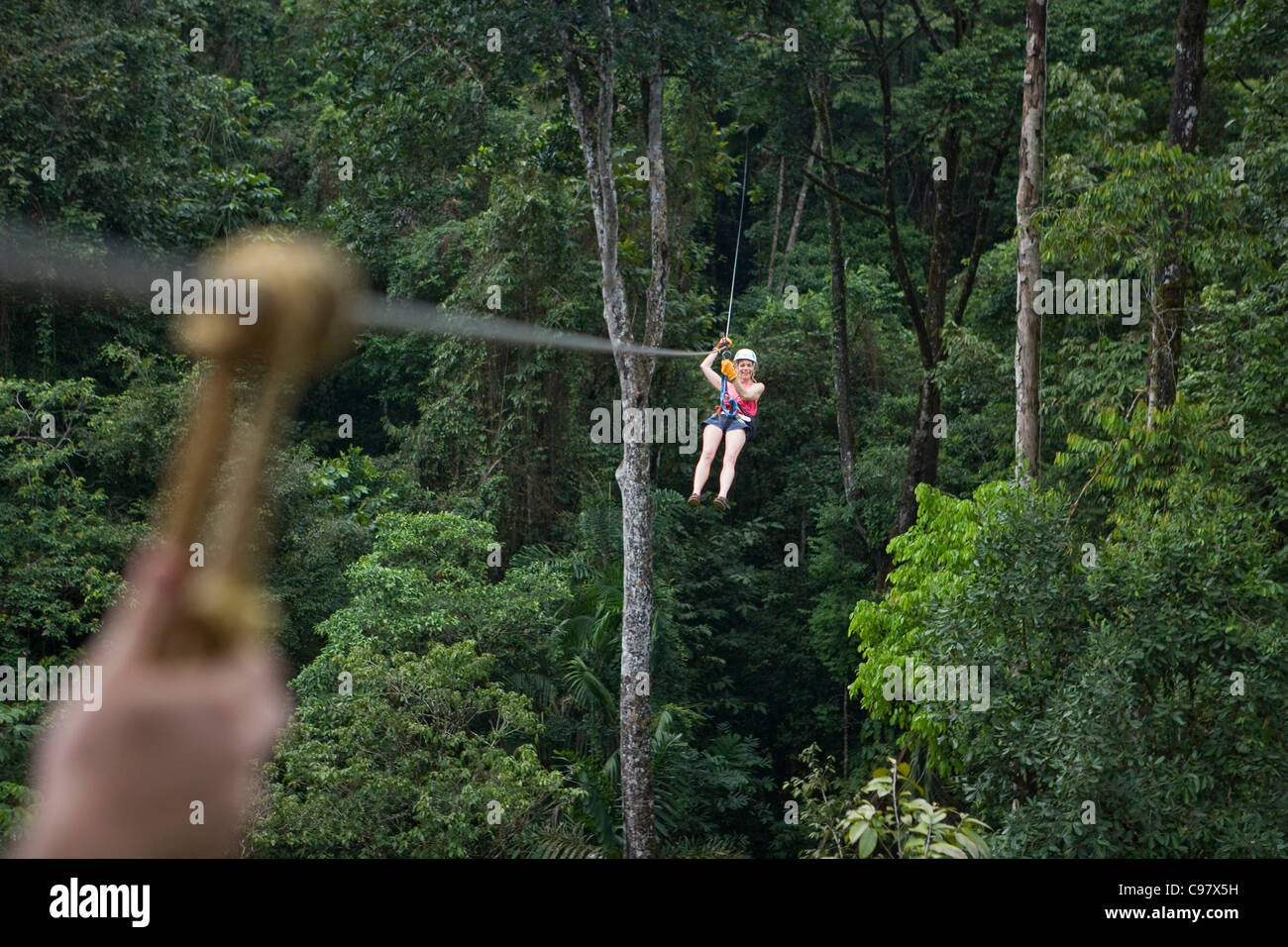 People ziplining through rainforest canopy, Golfito, Golfo Dulce ...