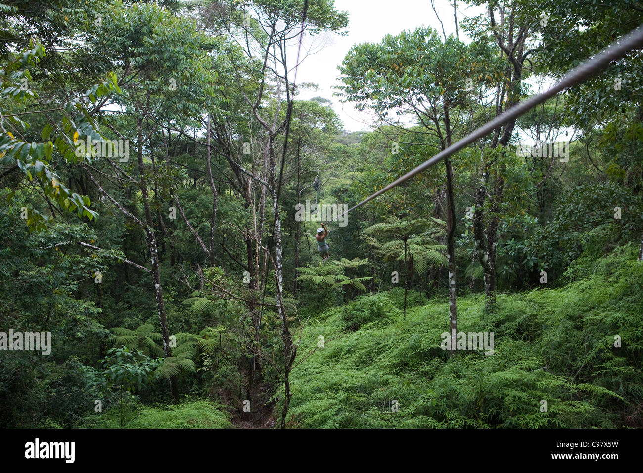 Rainforest canopy hi-res stock photography and images - Alamy