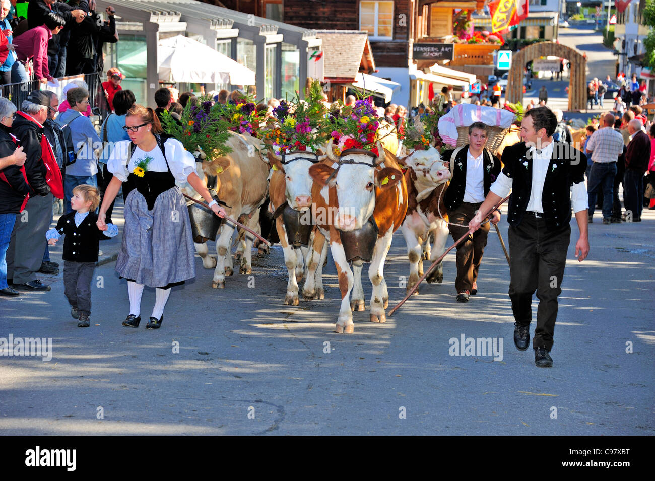 The Desalpe. Swiss cowherds in traditional costume bringing cows down ...