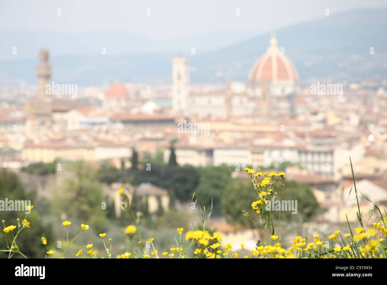 Florence spring hi-res stock photography and images - Alamy