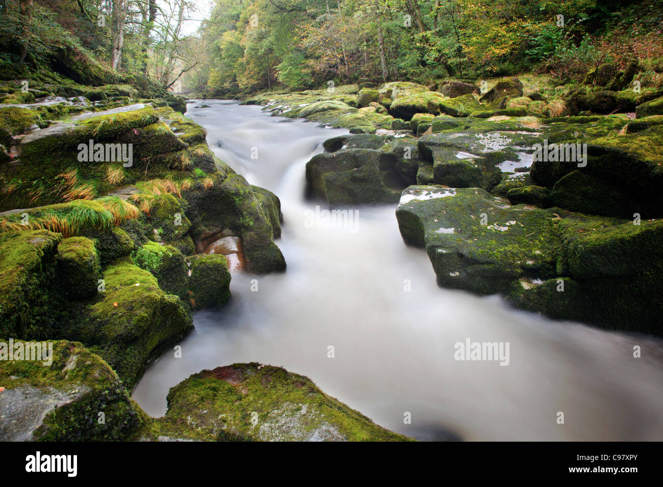 Bolton strid hi-res stock photography and images - Alamy