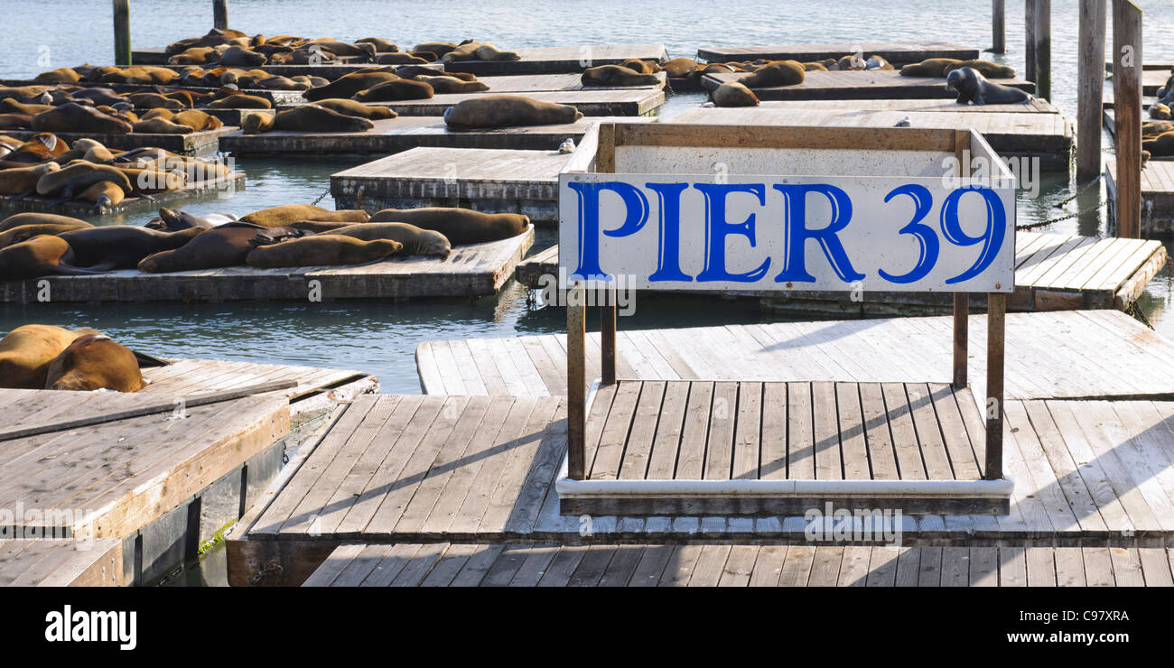 Pier 39 san francisco hi-res stock photography and images - Alamy