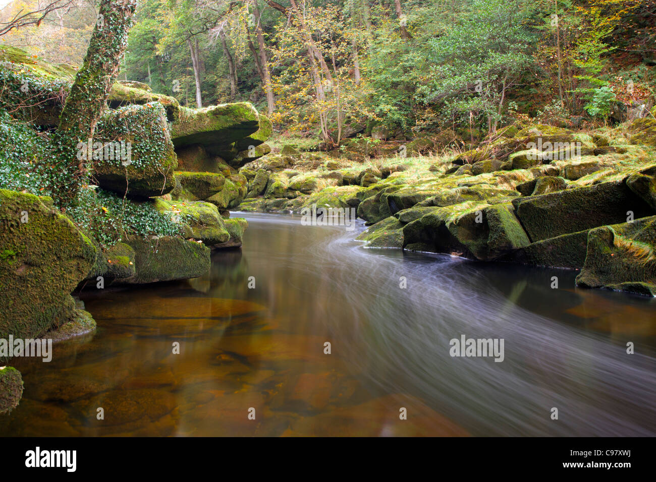 Strid Wood; River Wharfe; Bolton Abbey; Yorkshire; UK Stock Photo - Alamy