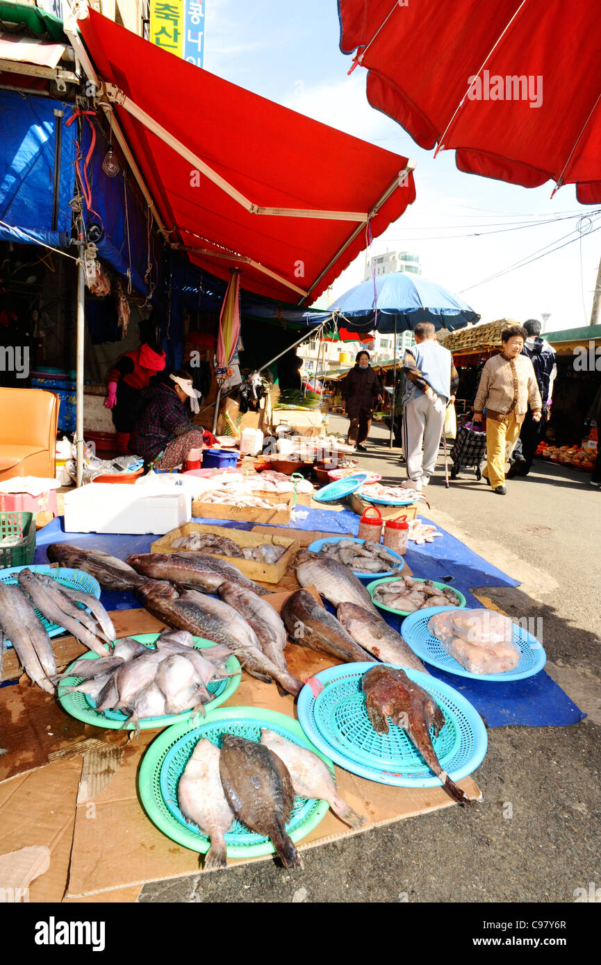 Jagalchi Fish Market, Busan, South Korea Stock Photo - Alamy