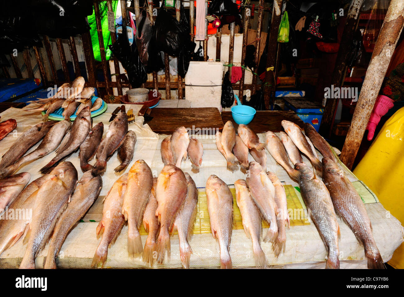 Jagalchi Fish Market, Busan, South Korea Stock Photo - Alamy