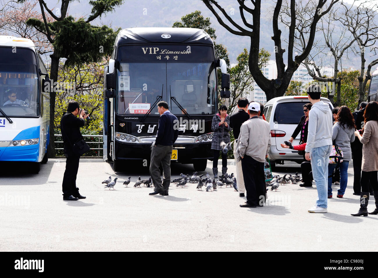 Tourist buses in Yongdusan Park, Busan, South Korea Stock Photo - Alamy