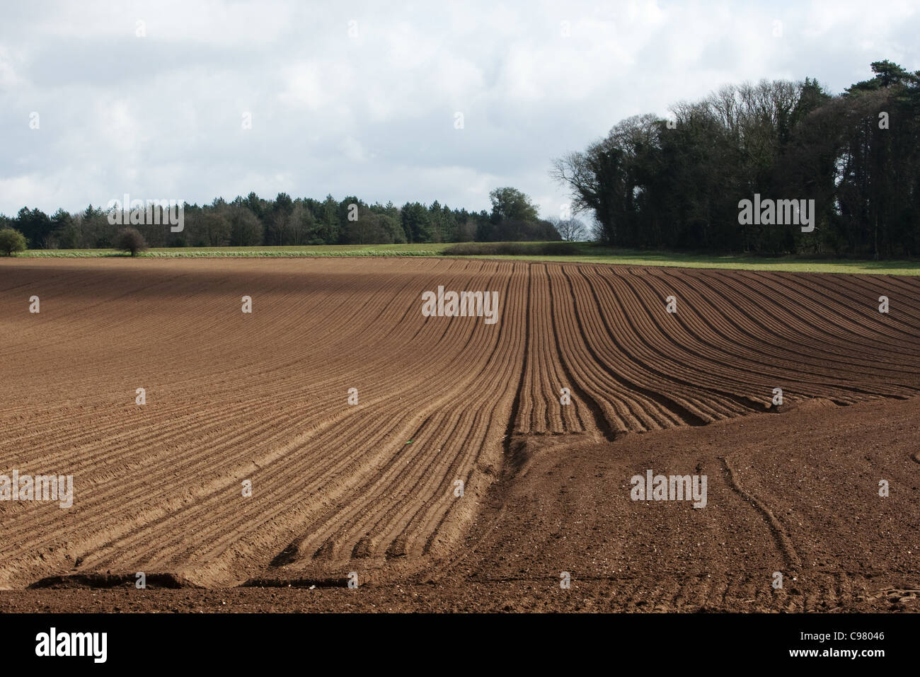Ploughed land at Holkham Hall and Estate, a 25 000 acre agricultural ...