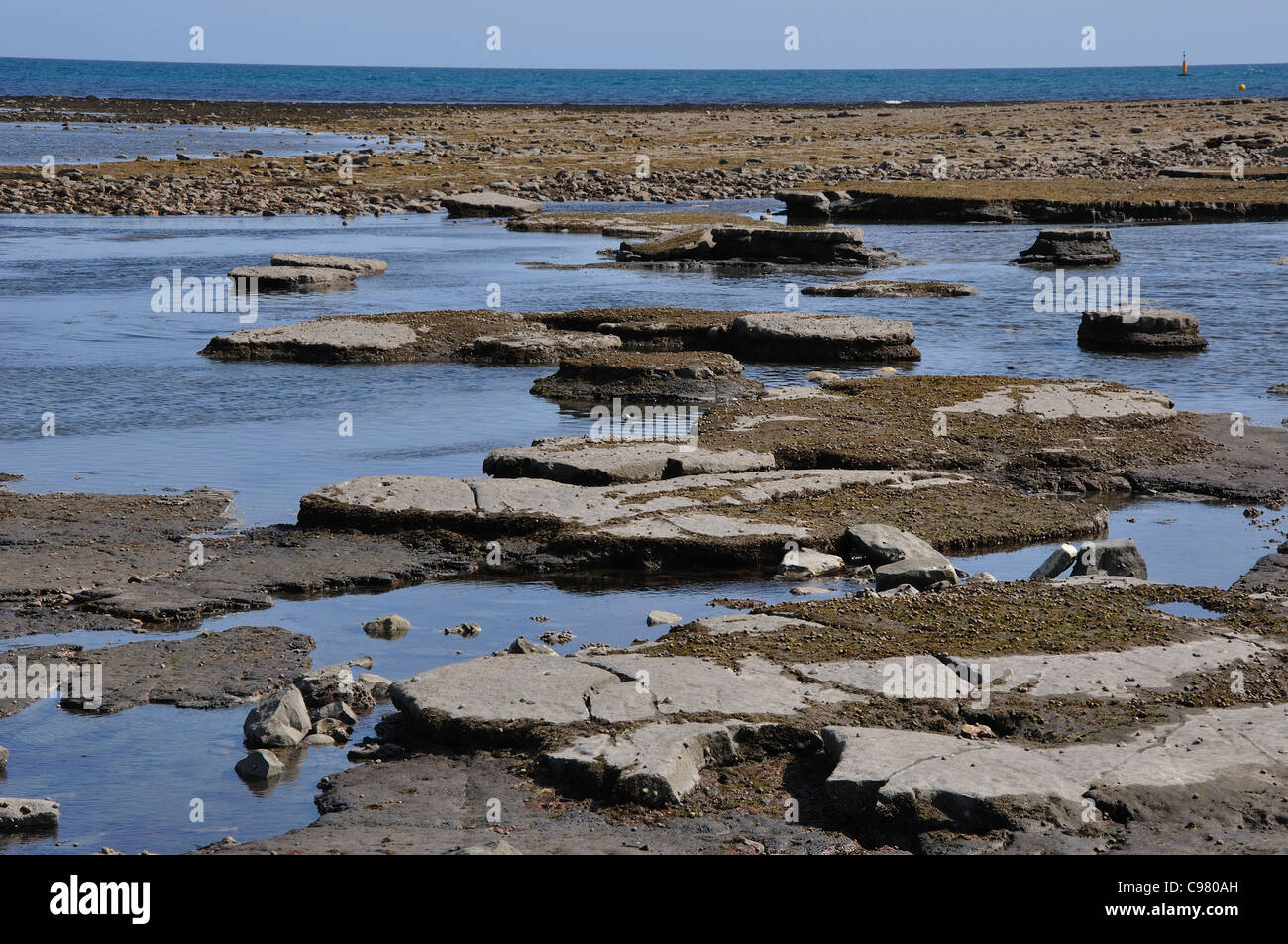 Broad Ledge Lyme Regis Dorset on the Jurassic Coast UK Stock Photo - Alamy