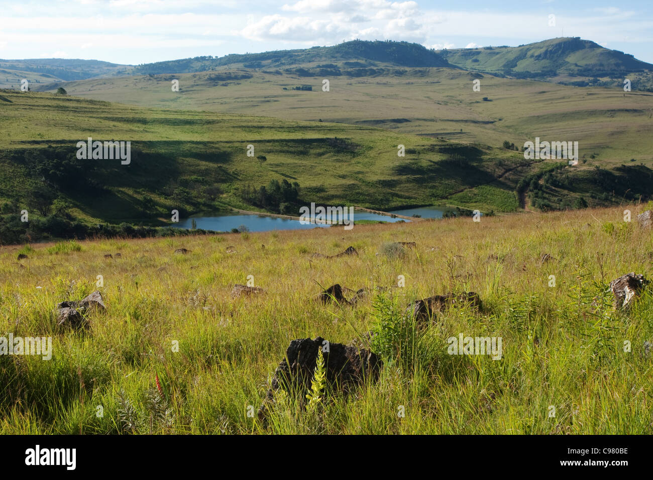 Highveld grassland scenery Stock Photo - Alamy