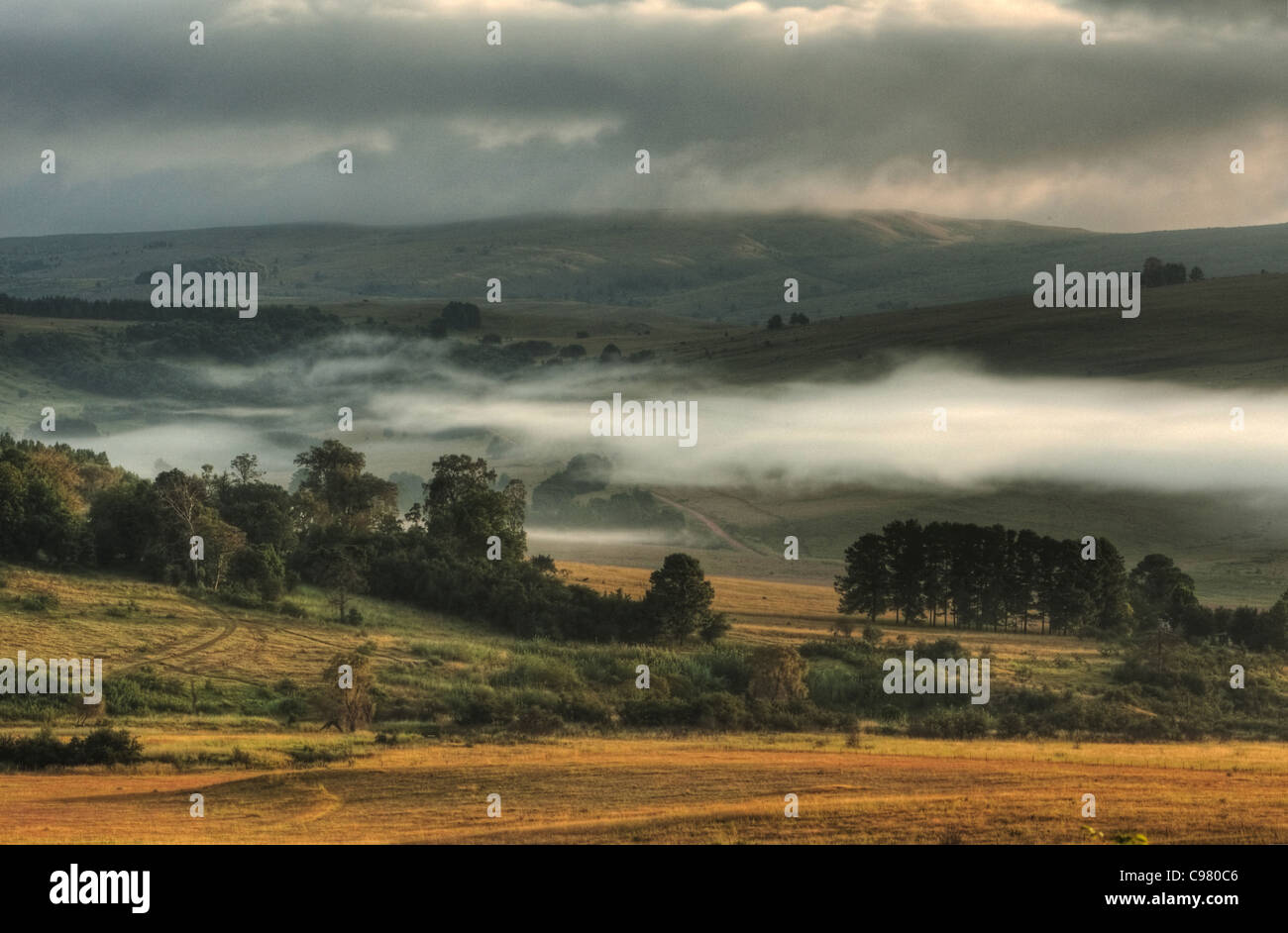 Open grasslands hi-res stock photography and images - Alamy
