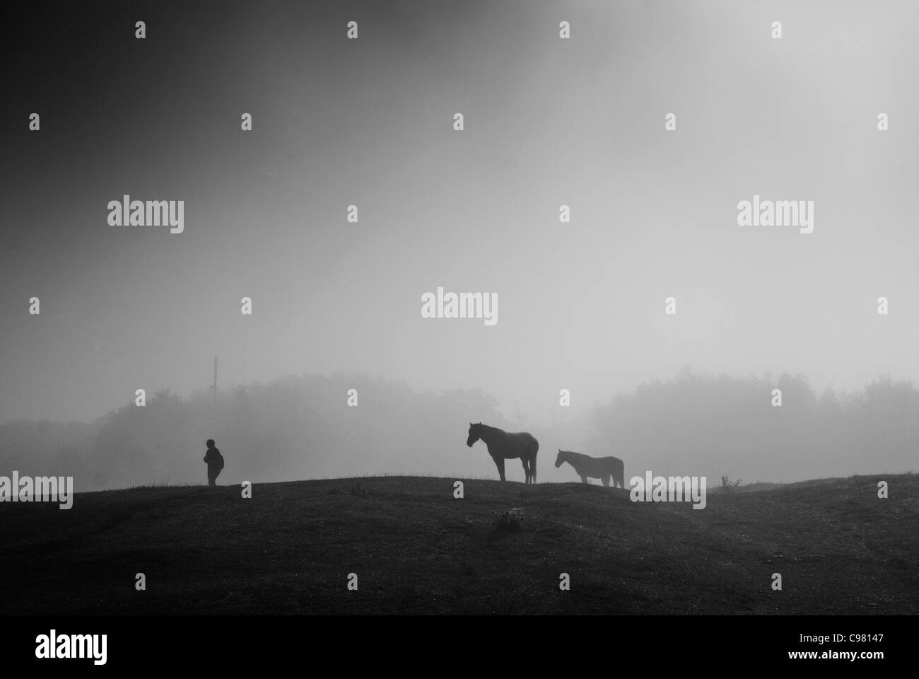 Rural horse racing Black and White Stock Photos & Images - Alamy