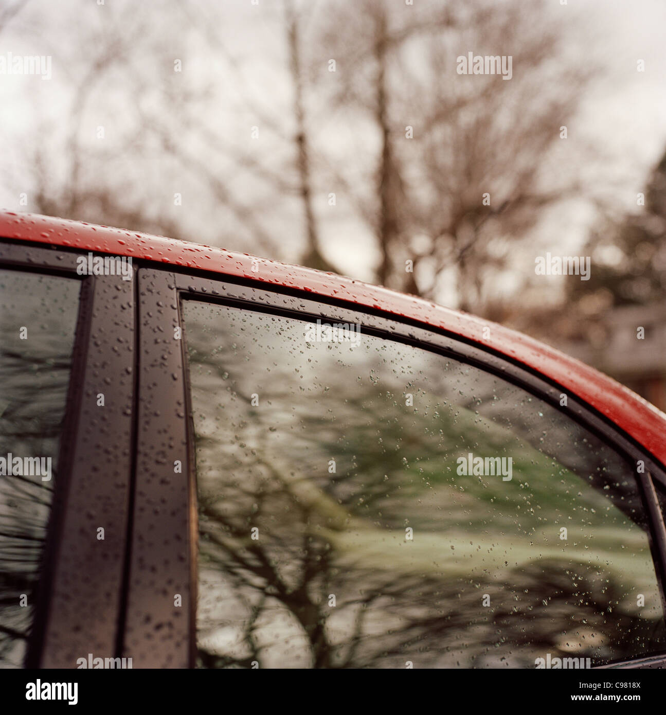 Winter trees reflected in car window Stock Photo - Alamy