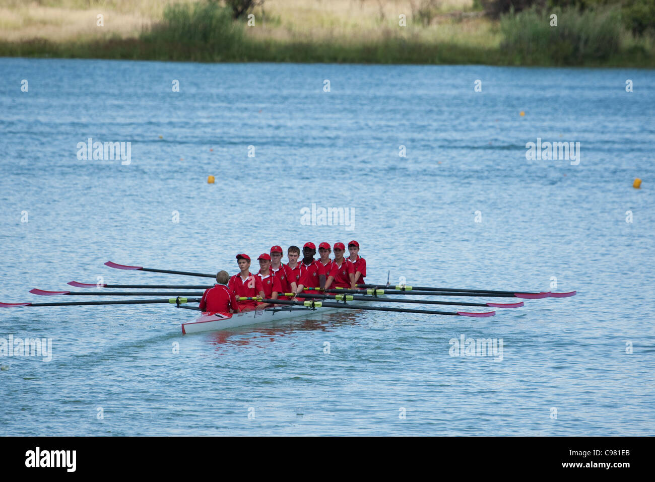 SA rowing championships Stock Photo - Alamy