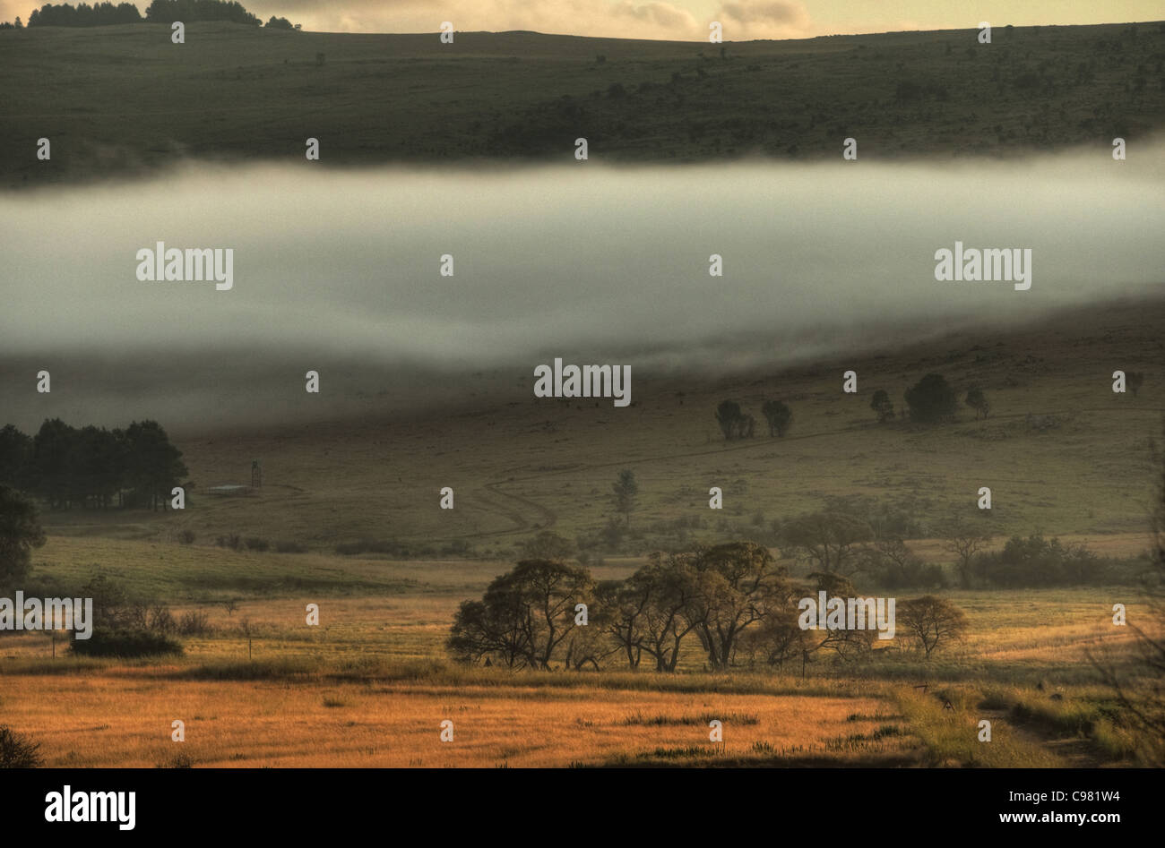 Moody highveld landscape with low-lying clouds and distant mountain ...