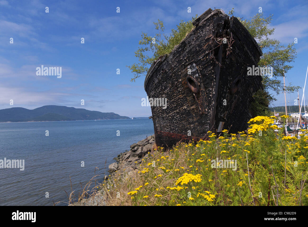 Hull of the 1917 four-masted schooner La Merced used as a breakwater at ...