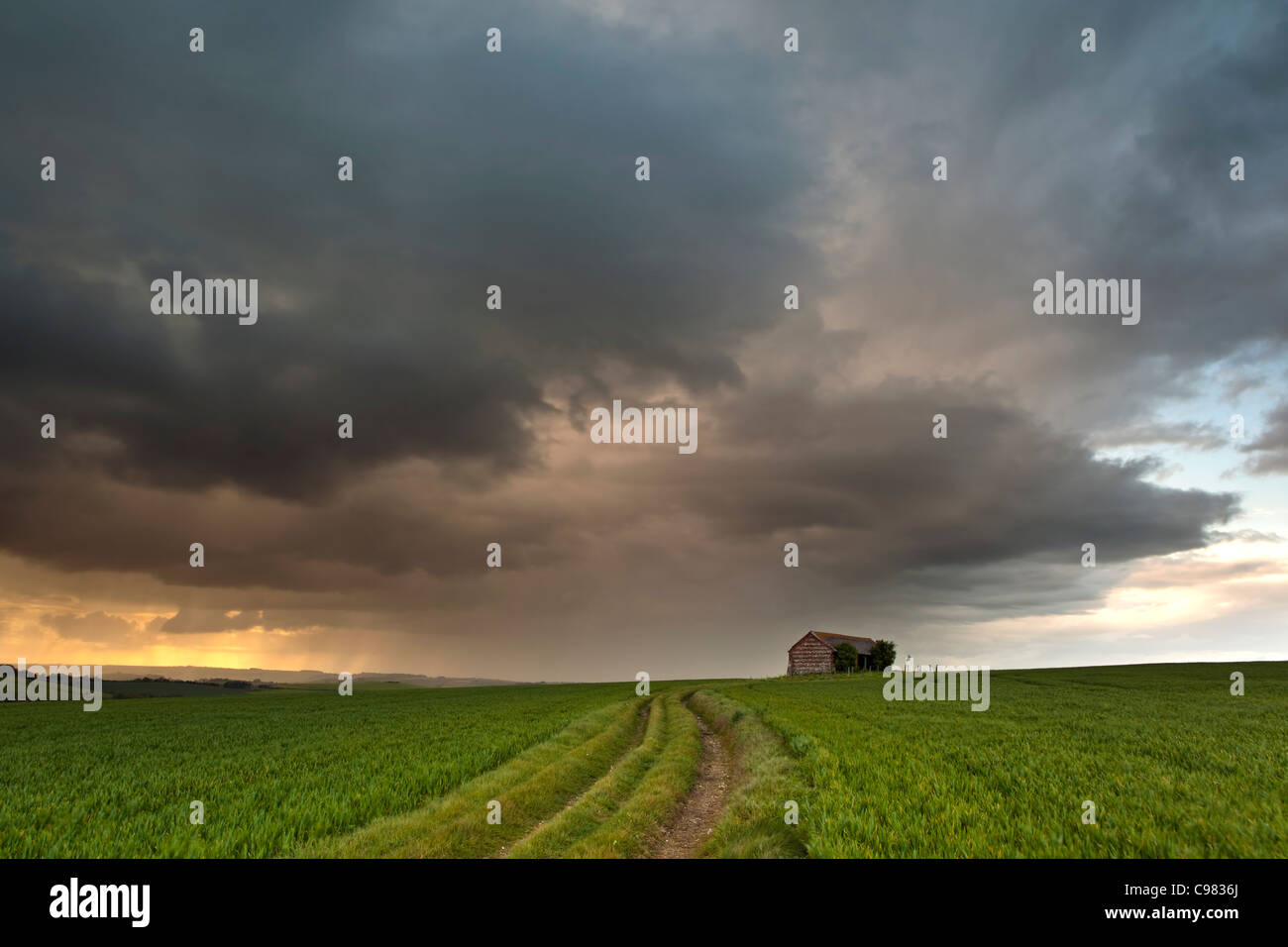 Approaching storm clouds over an agricultural landscape with a field ...