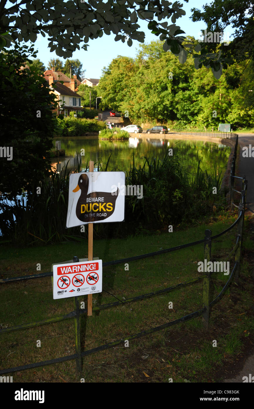 Beware, Ducks on the road sign by village pond , Southborough Common ...