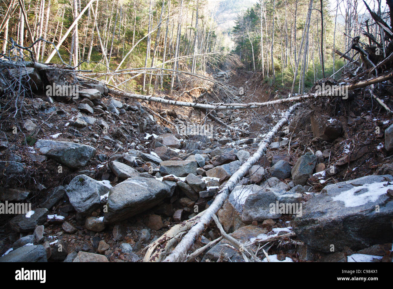 Landslide path on the side of the Hancock Mountain Range in the ...