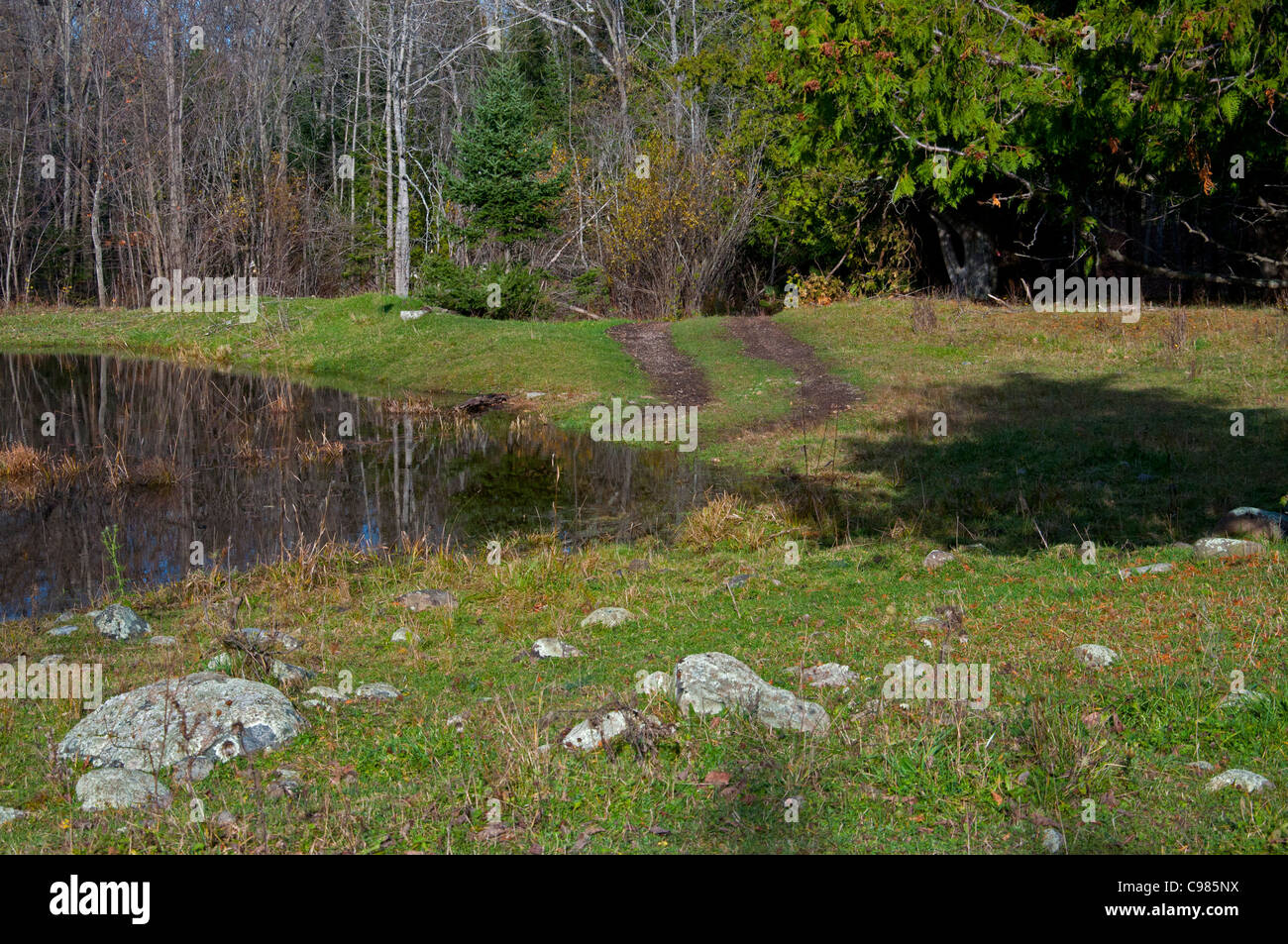 Flooded pasture land Stock Photo - Alamy