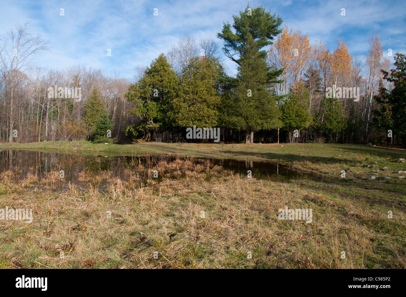 A view of pasture land Stock Photo - Alamy
