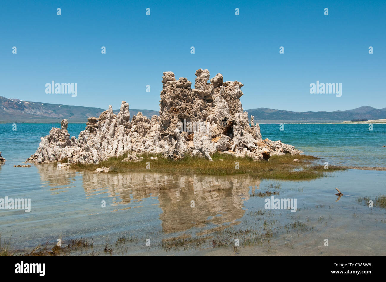 Mono basin national forest scenic area hi-res stock photography and ...