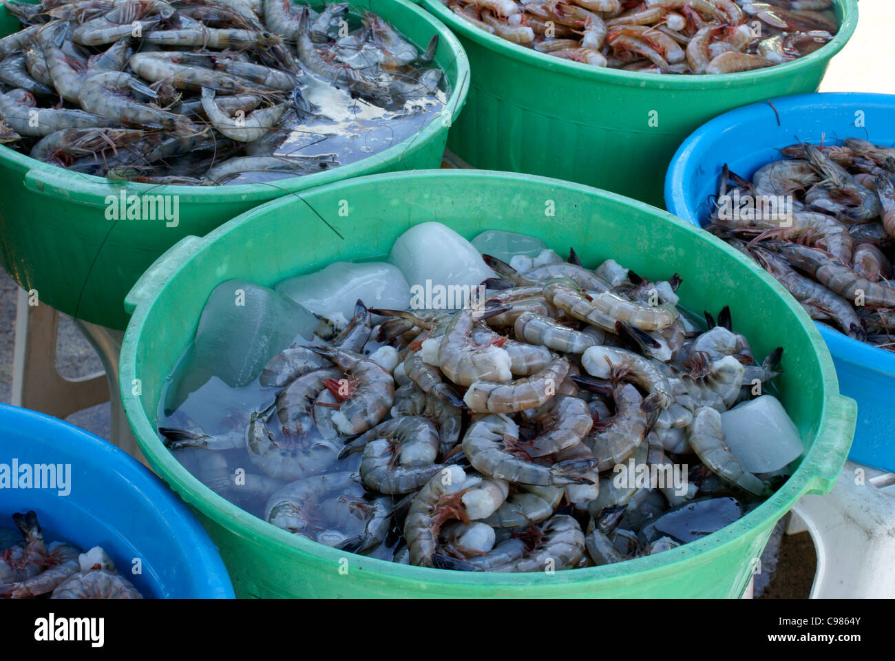 Buckets of freshly caught shrimp for sale at the fisherman's market in ...