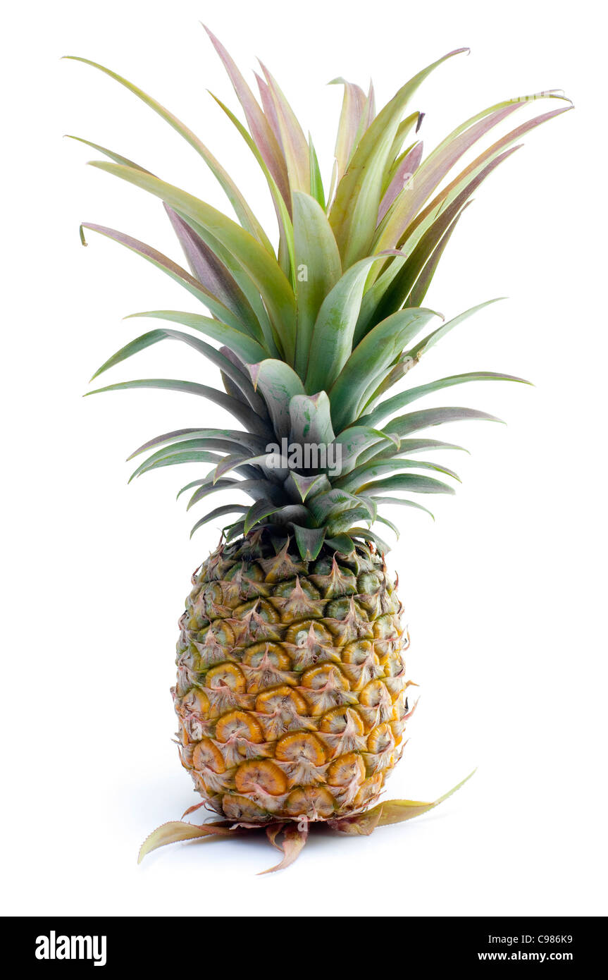 Single Whole Pineapple Isolated on White Background Stock Photo - Alamy