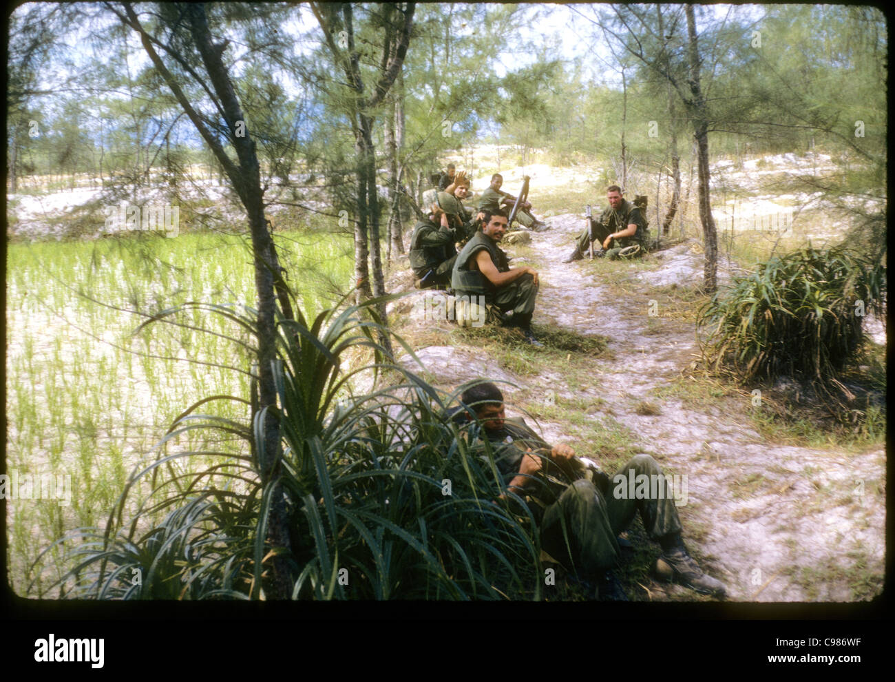US GIs soldiers taking a rest during vietnam war infantry resting rice ...