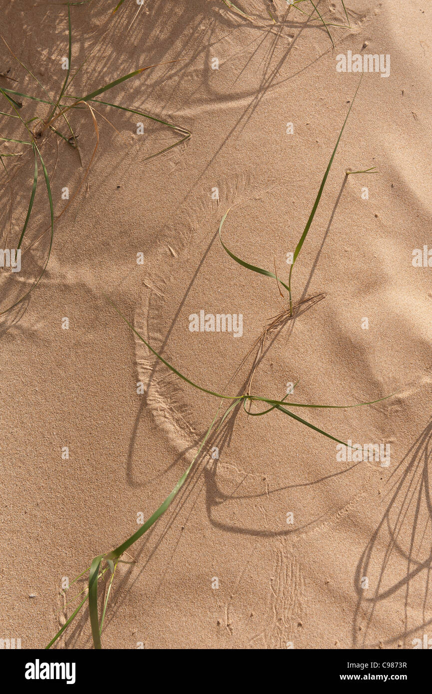 Bank erosion path slope track hi-res stock photography and images - Alamy