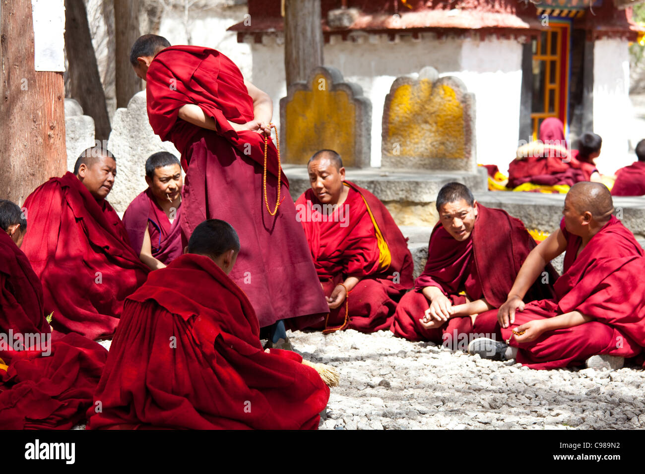 Monk monks debating lhasa tibet hi-res stock photography and images - Alamy