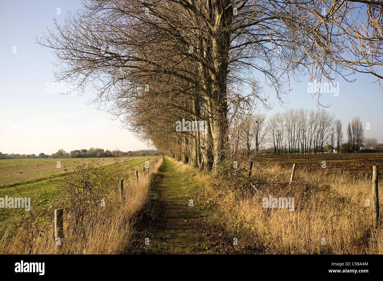 Bosham walk hi-res stock photography and images - Alamy