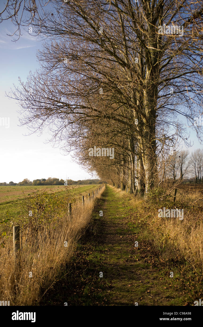 Straight Footpath High Resolution Stock Photography and Images - Alamy