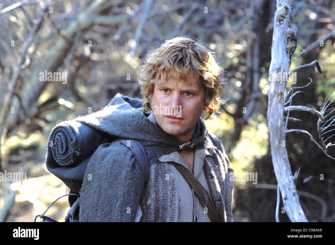 Sean astin lord of the rings hi-res stock photography and images - Alamy