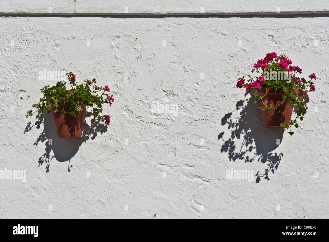 Spanish geranium hi-res stock photography and images - Alamy