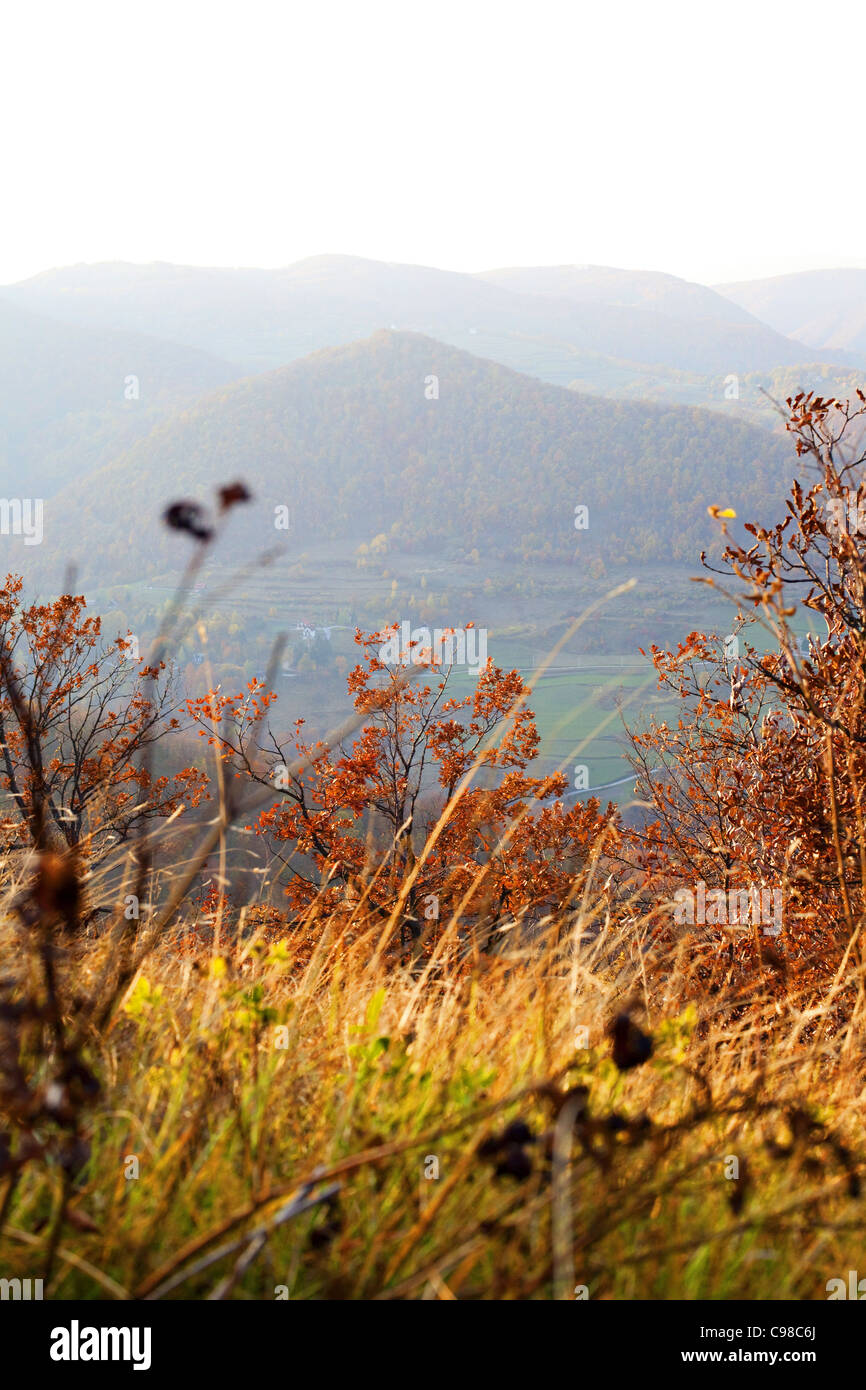 View of grass, trees valley and hills in autumn Stock Photo - Alamy