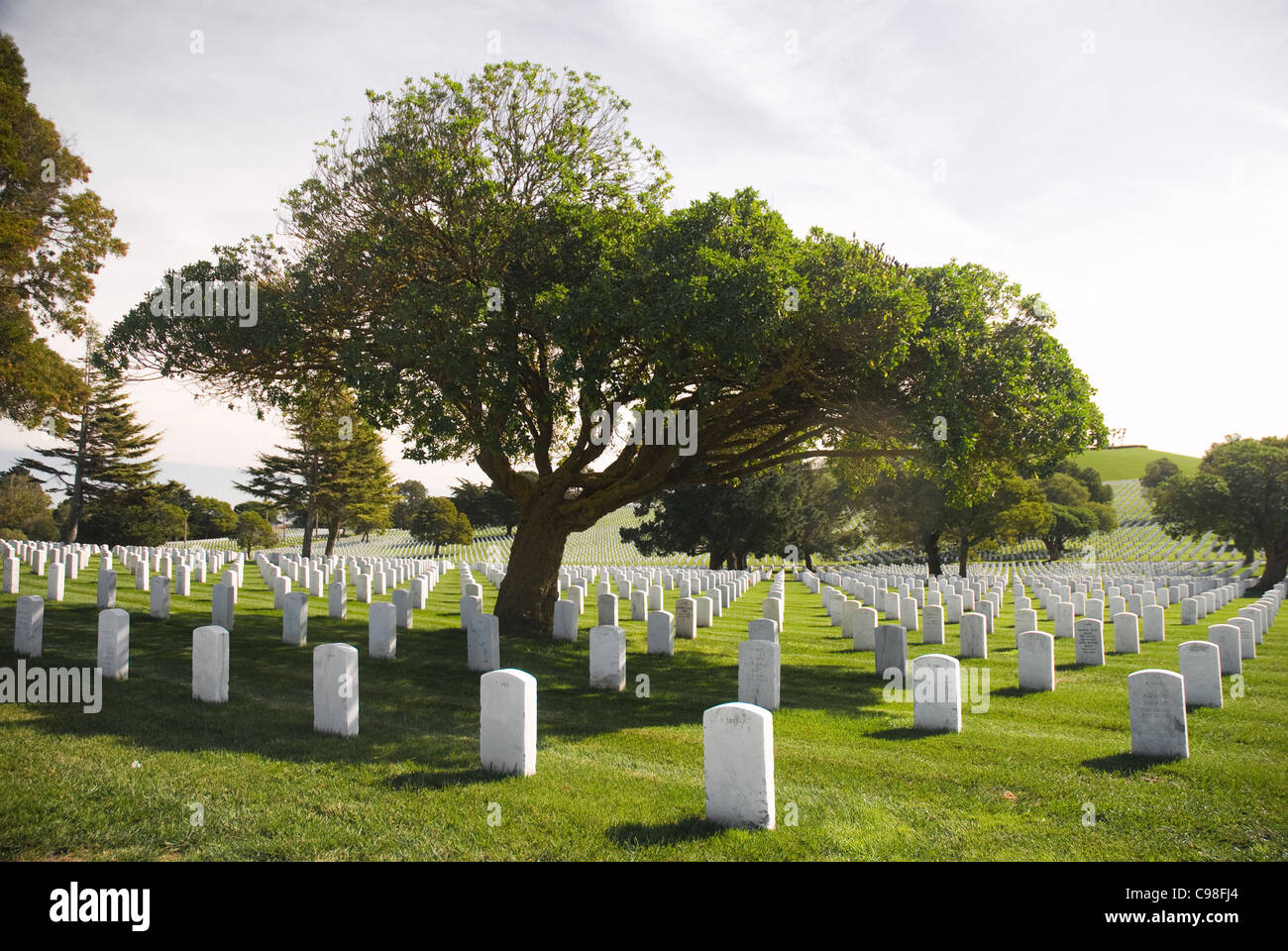 San francisco national cemetary hi-res stock photography and images - Alamy